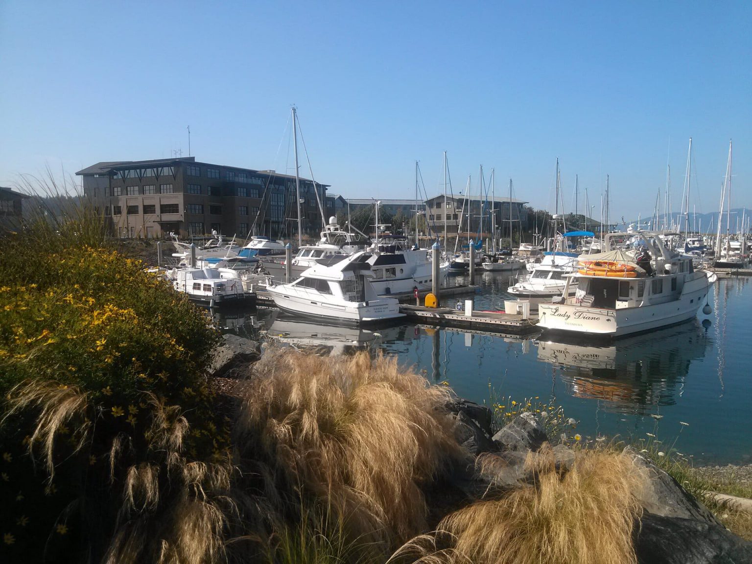 Residential Garbage Collection & Disposal in Whatcom County | SSC