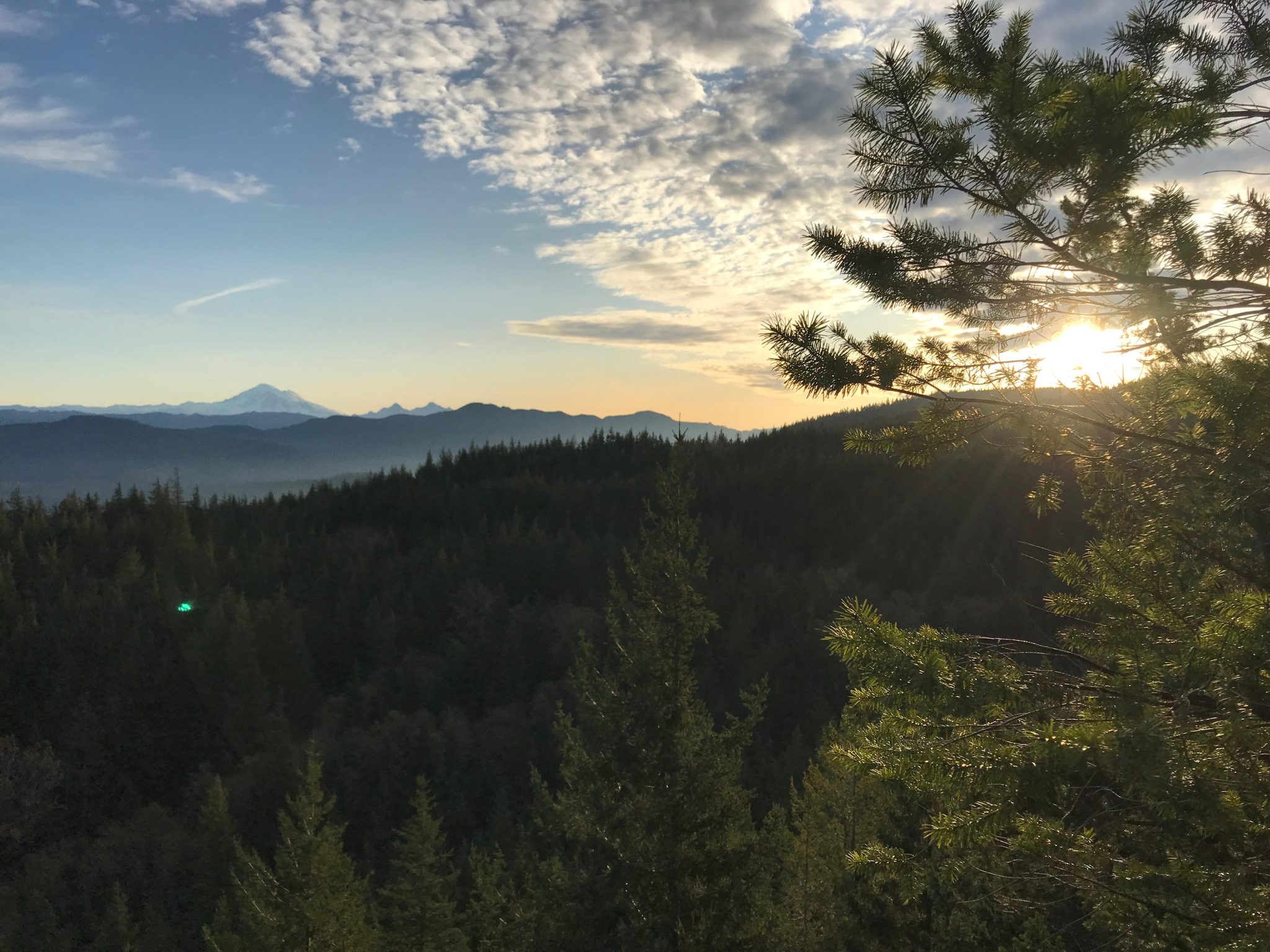 Residential Garbage Collection & Disposal in Whatcom County | SSC