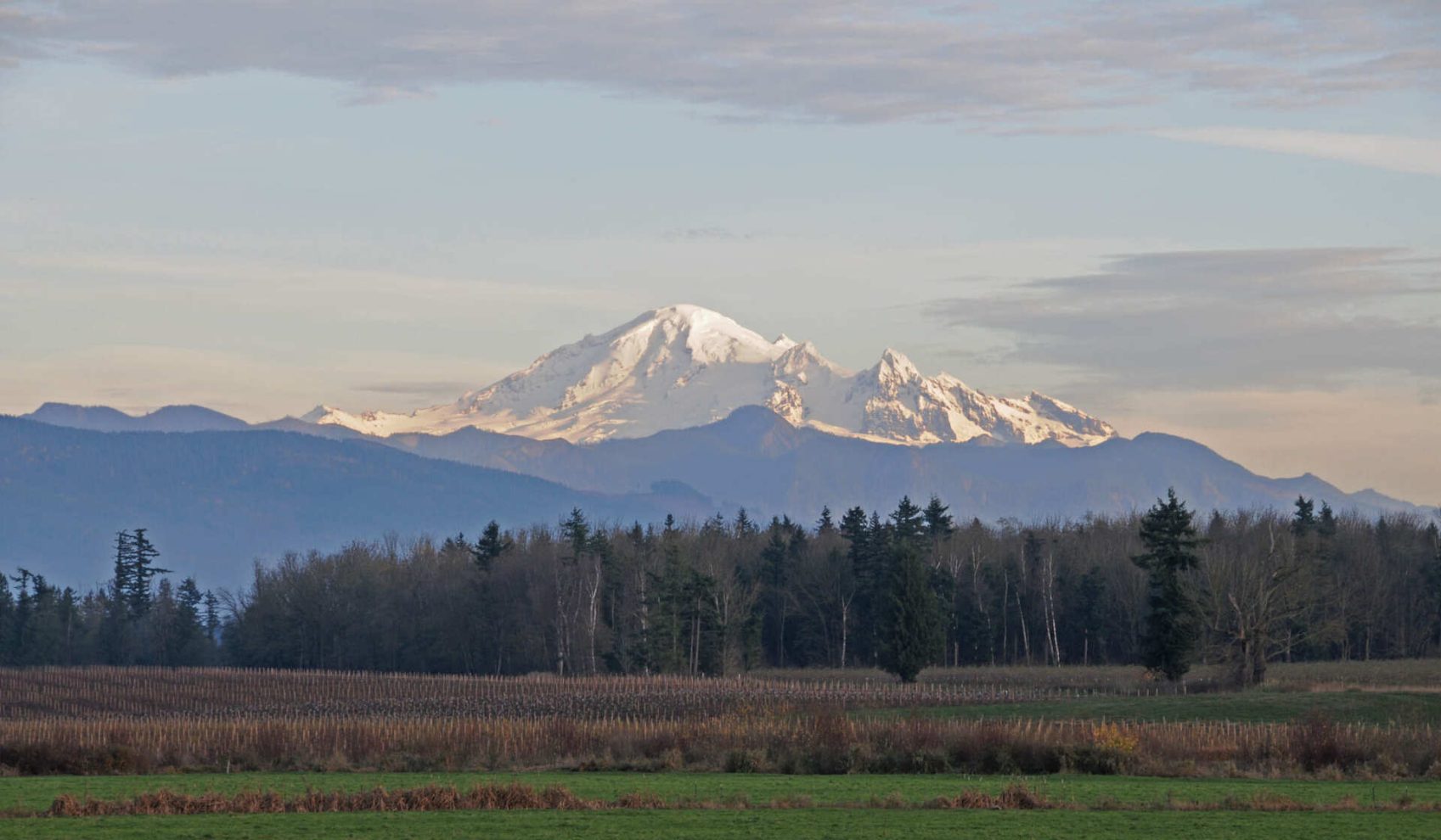 Our History - Sanitary Service Company | SSC