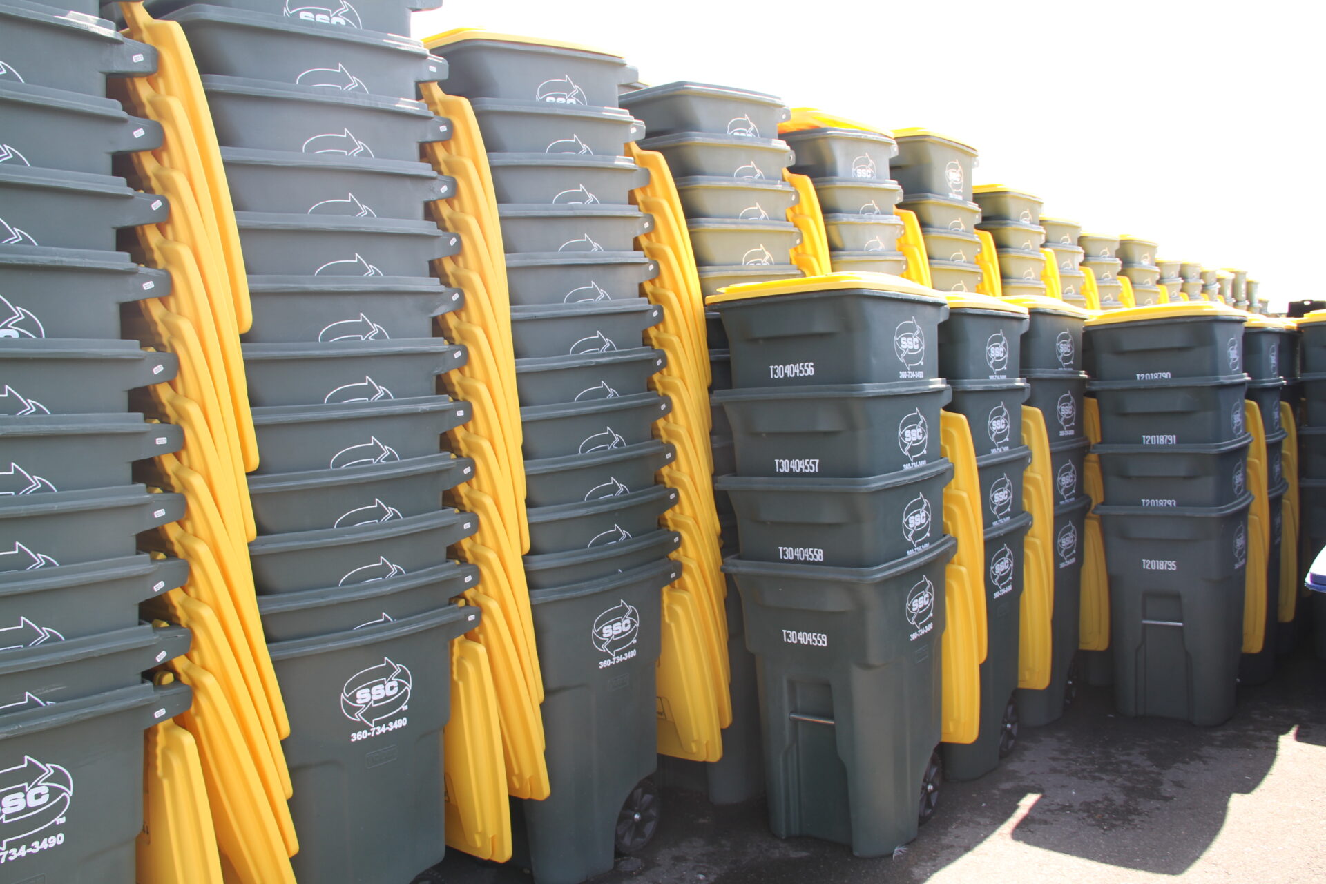 Resources Preparing Your FoodPlus! - Yard Debris & Food Scraps | SSC